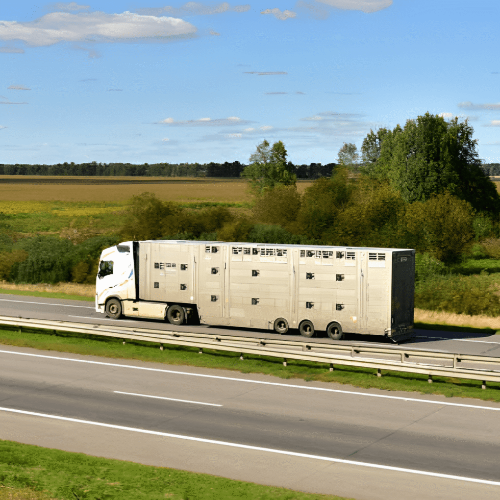 Best Livestock Trailers For Sale | Gooseneck & Bumper Pull | Shop Now ...
